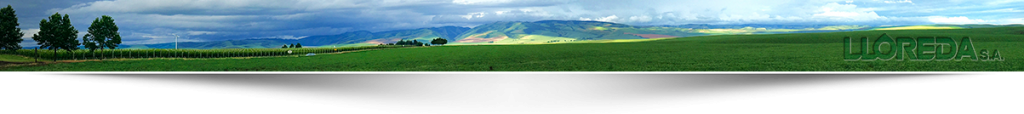 Whats the difference between a Coffeeshop and you may a Dispensary? RQS ...